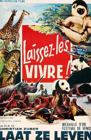 Pumping Iron II: The Women (1985) Original One-Sheet Movie Poster ...